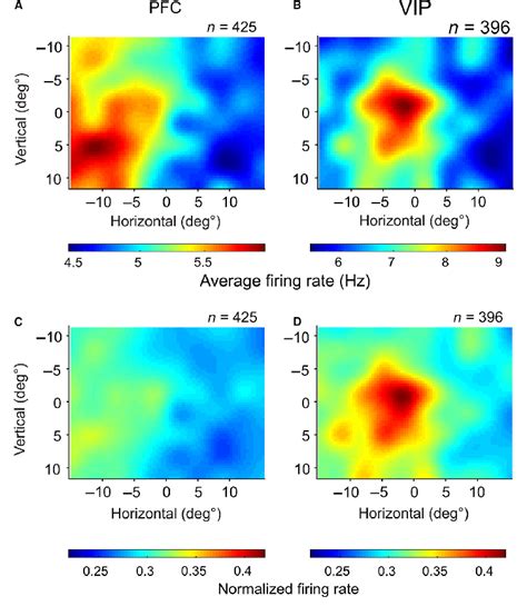 Average RF Maps A Average Of All PFC RF Maps As A Heat Map The Download Scientific