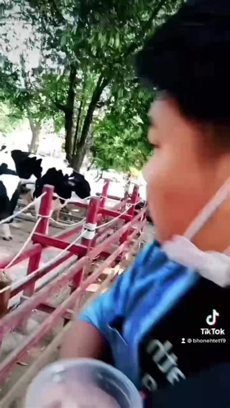 ကိုကိုက ကာတွန်းထဲက ဟိုကောင်လေးနဲ့တူတယ် 🤪😌 ဟာသ Vd အသစ်လေးတွေ လာတော့မှာမို့ Page လေးကို Like လုပ