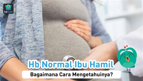 Berapa Hb Normal Pada Ibu Hamil Apa Yang Perlu Diketahui HDmall