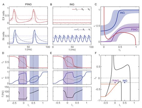 Six Variable R S V Model For The E I Network A Example Time Download Scientific Diagram
