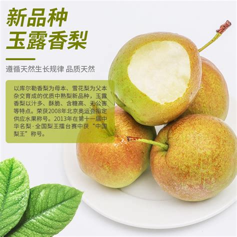 甜梨图片 小甜梨姜梨 甜的梨 大山谷图库