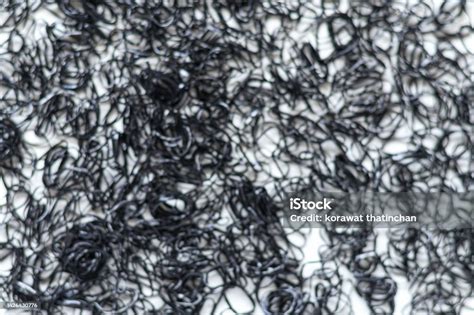 바닥에 검은 색이 많은 흐린 배경 검은 고무 밴드는 광고 텍스트를위한 디자인 및 복사 공간을위한 완벽한 배경입니다 검은 색의 헤어 고무 밴드 배경과 텍스트를위한 공간 복사