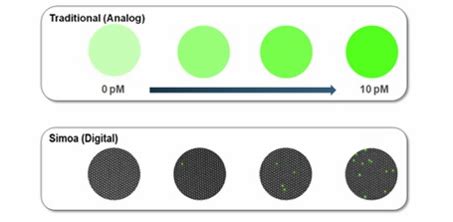 Single molecule array Simoa Testing Service 超敏感ELISA測試 岑祥股份有限公司