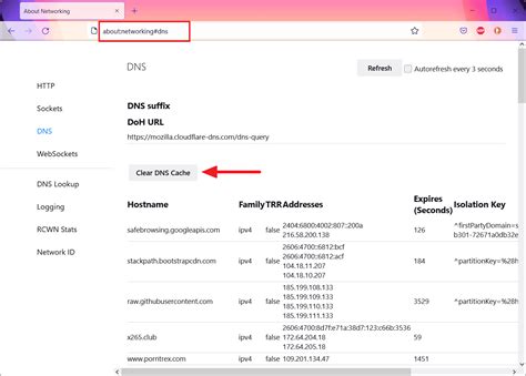 How To Flush DNS On Windows 11