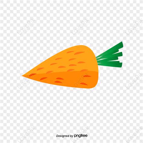 당근야채당근 매체 Png 일러스트 무료 다운로드 Lovepik