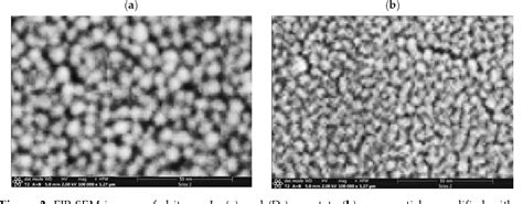 Figure 2 From Self Assembling Nano And Microparticles Of Chitosan L