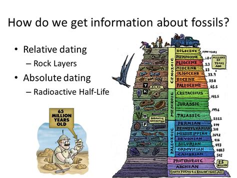 Fossils Math And Science Warrior