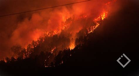 ტყის ხანძრები ევროპაში Adjara Tv