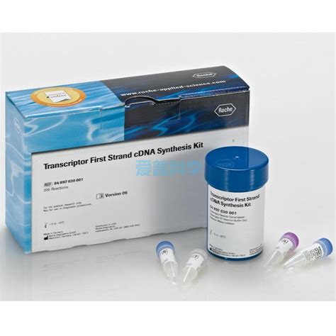 PrimeScript RT Master Mix Perfect Real Time 爱普科学商城