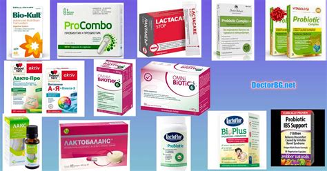 Най добрия пробиотик за дебелото черво Мнения Топ 10 ДокторБГ
