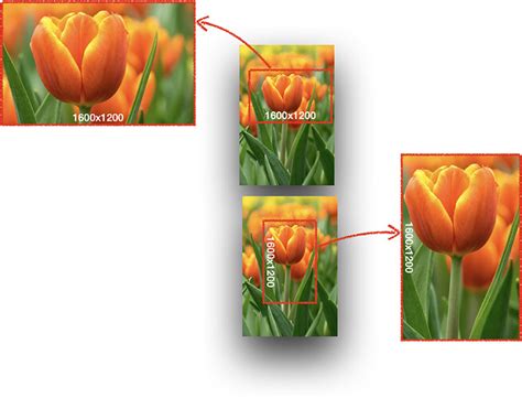 Horizontal Esp32 Cam Ai Thinker 3rd Party Boards Arduino Forum