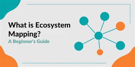 What Is Ecosystem Mapping A Beginners Guide Visible Network Labs