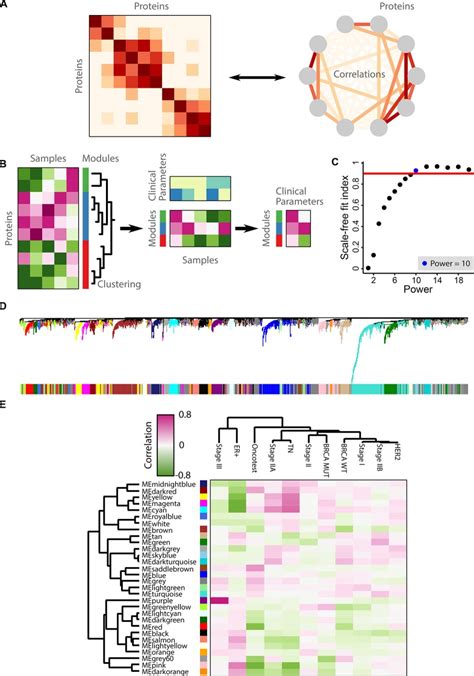 A Network Module For The Perseus Software For Computational Proteomics Facilitates Proteome