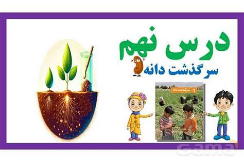 پاورپوینت تدریس درس 9 سرگذشت دانه علوم تجربی دوم دبستان گاما