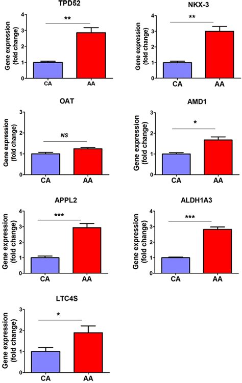 Differential Gene Expressions In Human Formalin Fixed Paraffin Embedded