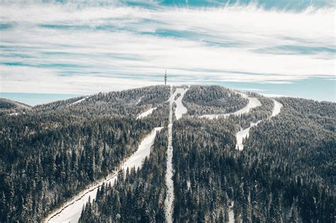 Национален борд по туризъм