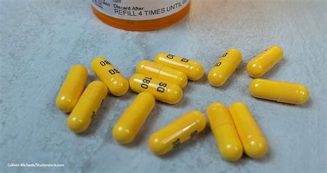 N C Veterinarians Must Report Gabapentin Use Todays Veterinary Business