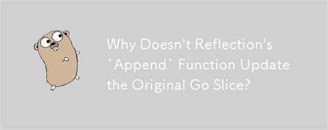 why doesn t reflection s `append` function update the original go
