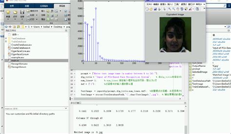 基于pca人脸识别系统与实现结合 Pca 原理人脸识别和编码的基本过程 Csdn博客
