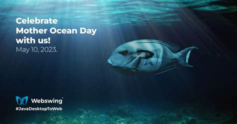 Webswing Limited On Linkedin Brings Java Javafx Netbeans Applet To Browser