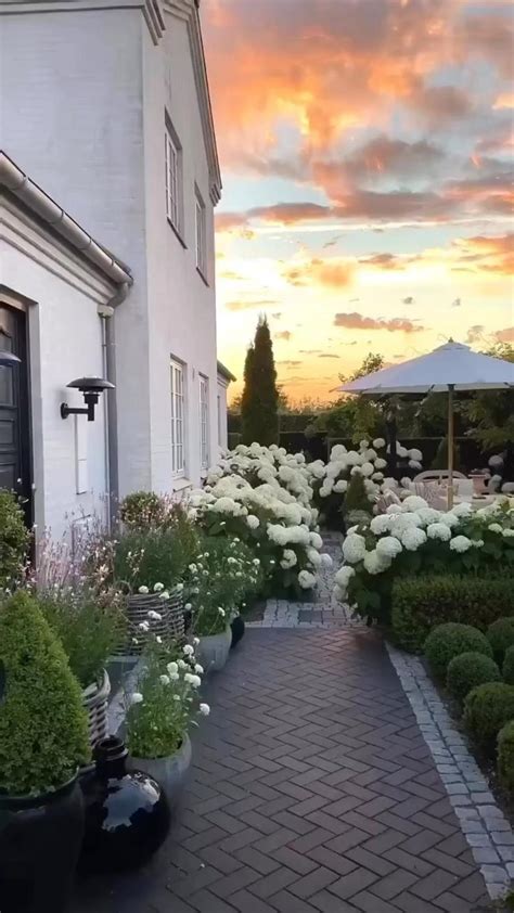 Шикарный Ландшафтный дизайн с белыми гортензиями ️ гортензия ландшафтныйдизайн сад дача