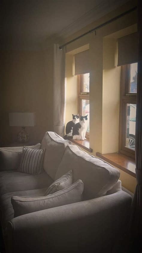 Double Trouble R Aww