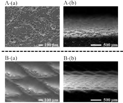 Sem Image Of Two Type Of Specimens With Fine Surface Irregularities For Download Scientific