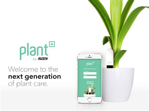 Identity And UI Design On Behance