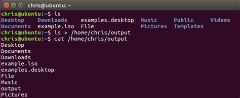 How To Save The Output Of A Command To A File In Bash Aka The Linux And Macos Terminal