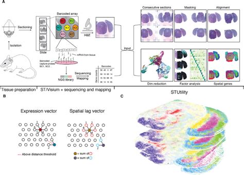 Seamless Integration Of Image And Molecular Analysis For Spatial