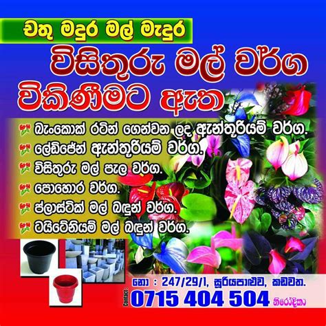 චතුමදුර මල් මැදුර Added A New Photo චතුමදුර මල් මැදුර