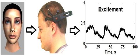 input output scheme for the experiments download scientific diagram