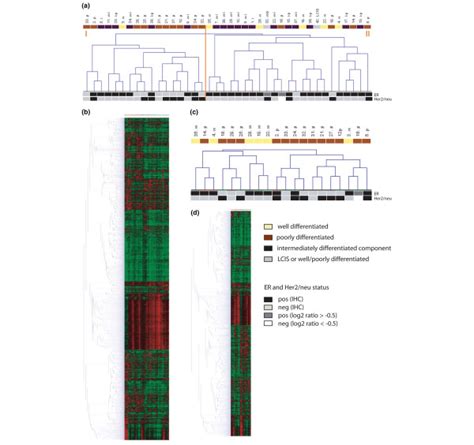 unsupervised hierarchical clustering of the in situ samples a