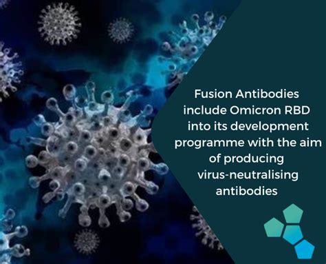 Thank You Fusion Antibodies