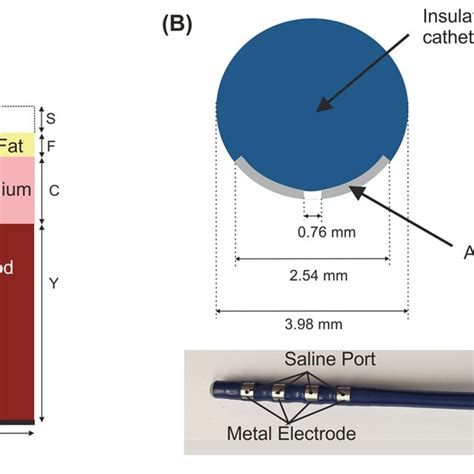 A Geometry Of The 2d Limited Domain Model Which Only Considers A