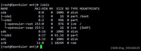 openeuler23 03中磁盘挂载 openeuler挂载硬盘 csdn博客