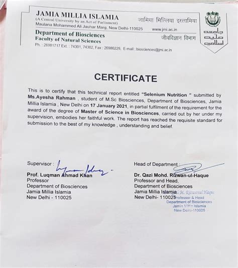 Ayesha Rahman On Linkedin Alhamdulillah Completed My Masters Journey In Jamia Millia