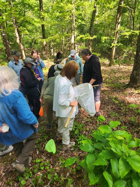 Niles Reddick On Linkedin Dr Dave Clarke Lead A Workshop Outreach Event On Arthropod Diversity