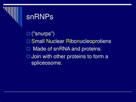Elongation Enzyme Moves 5 3 Ppt Download