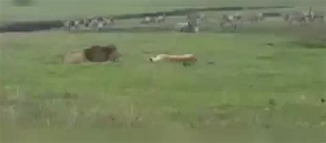 Arun Srinivas Posted On Linkedin