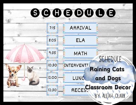 Raining Cats And Dogs Classroom Decor Schedule Cute Animals