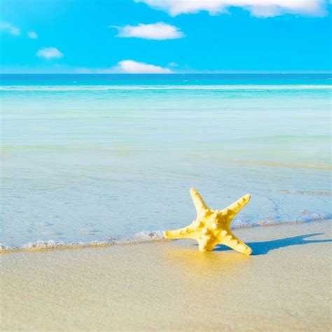 Beach Summer Ipad Wallpapers Wallpaper Cave
