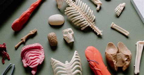 Nurese 가위 간호 학교 간호사 개인 보호 장비 건강 과학 과학 실험실 굽 달린 큰 컵 나무 모눈 종이 목업 바늘 백신 연구 병원 분자 붕대