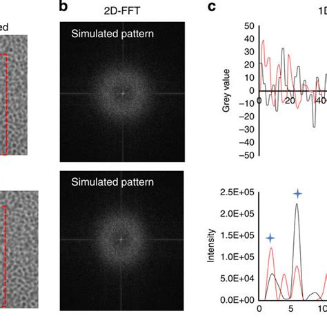 results of image based finite element modelling and fft analysis of