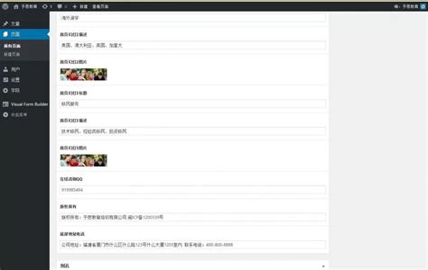 Wordpress自定义字段插件：advanced Custom Fields超详细使用教程 Wordpress日记