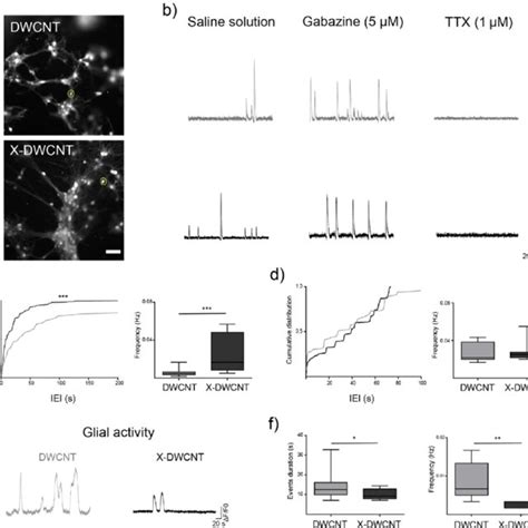 Live Calcium Imaging Of Neuron And Glial Cells Developed On 3d Dwcnt