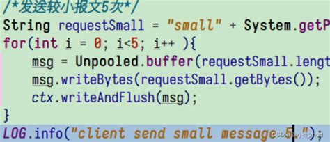 【netty】netty的使用和常用组件详解 Csdn博客