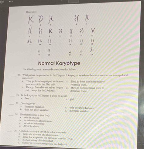 Solved Diagram 1 7 4 4 17 5 22 Xy Normal Karyotype Use This Diagram To