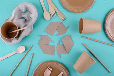 Sustainable Food Packaging Types Pros And Cons UPLARN