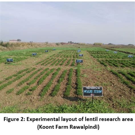 Effect Of Vermicompost Types Along With Rhizobium Inoculation Impact On Nodulation Potential